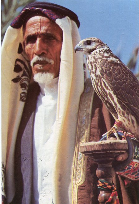 1984 Bahrain Falcon Postcard to Sweden – BalkanPhila