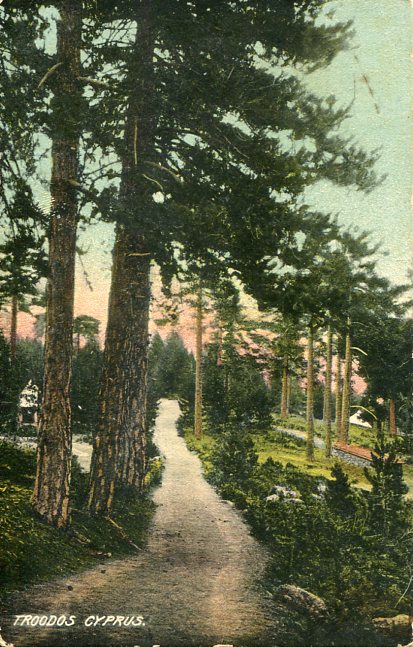 1909 Cyprus Trodos to Paphos Postcard – BalkanPhila