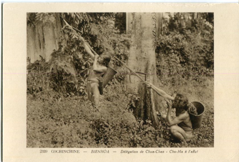 Vietnam Indochina Bien Hoa Chua Chan Hunting ed Nadal – BalkanPhila