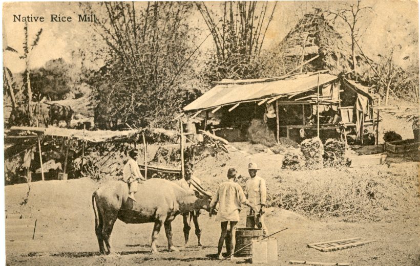 Philippines Native Rice Mill – BalkanPhila
